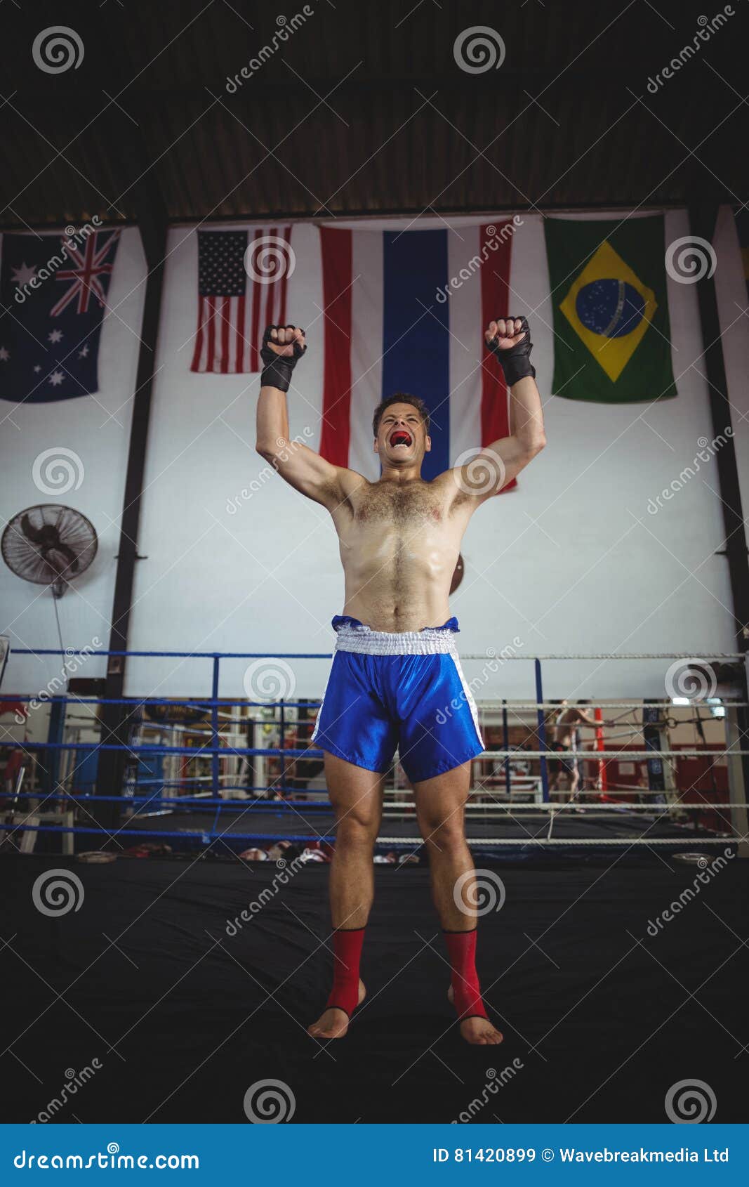 Boxer posing after victory stock image. Image of lifestyle - 81420899