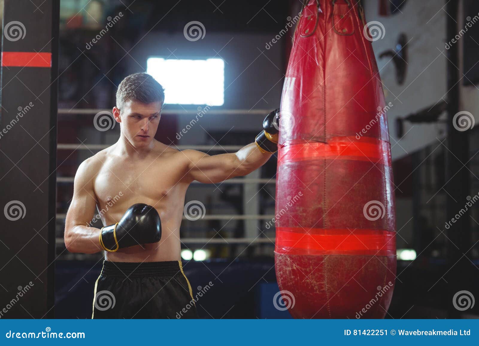 Boxer Practicing Boxing with Punching Bag Stock Image - Image of action ...