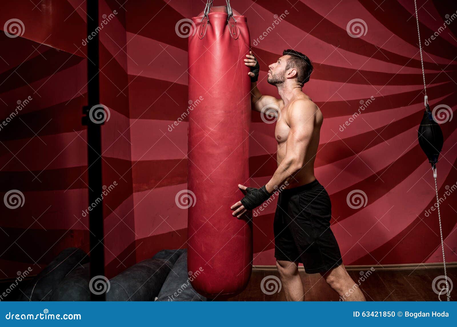 Boxer Preparing for Training, Stretching and Working Out Stock Photo ...