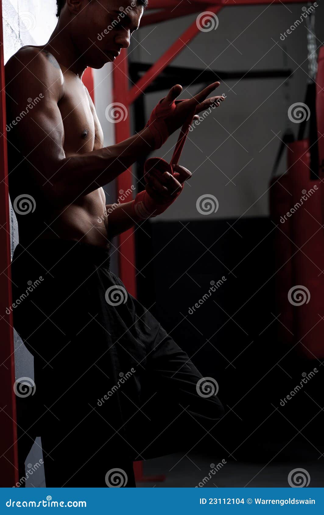 Boxer protection stock photo. Image of muscular, athletic - 23112104