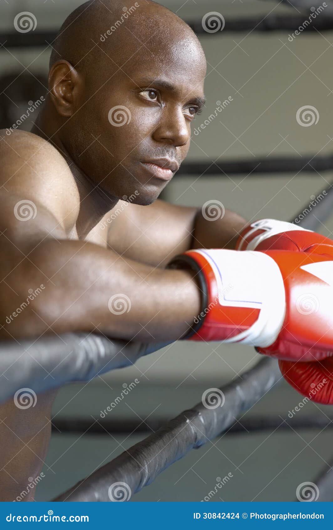 Boxer in Red Boxing Gloves Resting in Ring Stock Photo - Image of black ...
