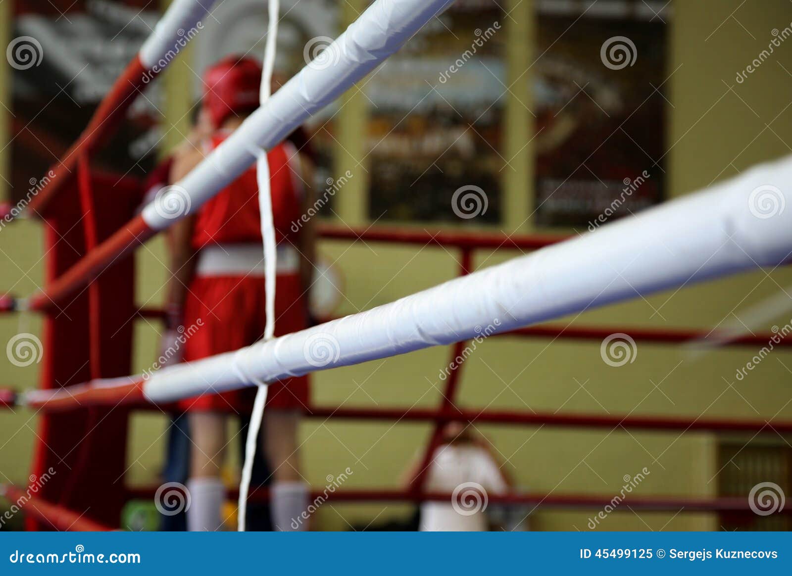The Boxer in the Red Corner Stock Image - Image of arts, boxer: 45499125