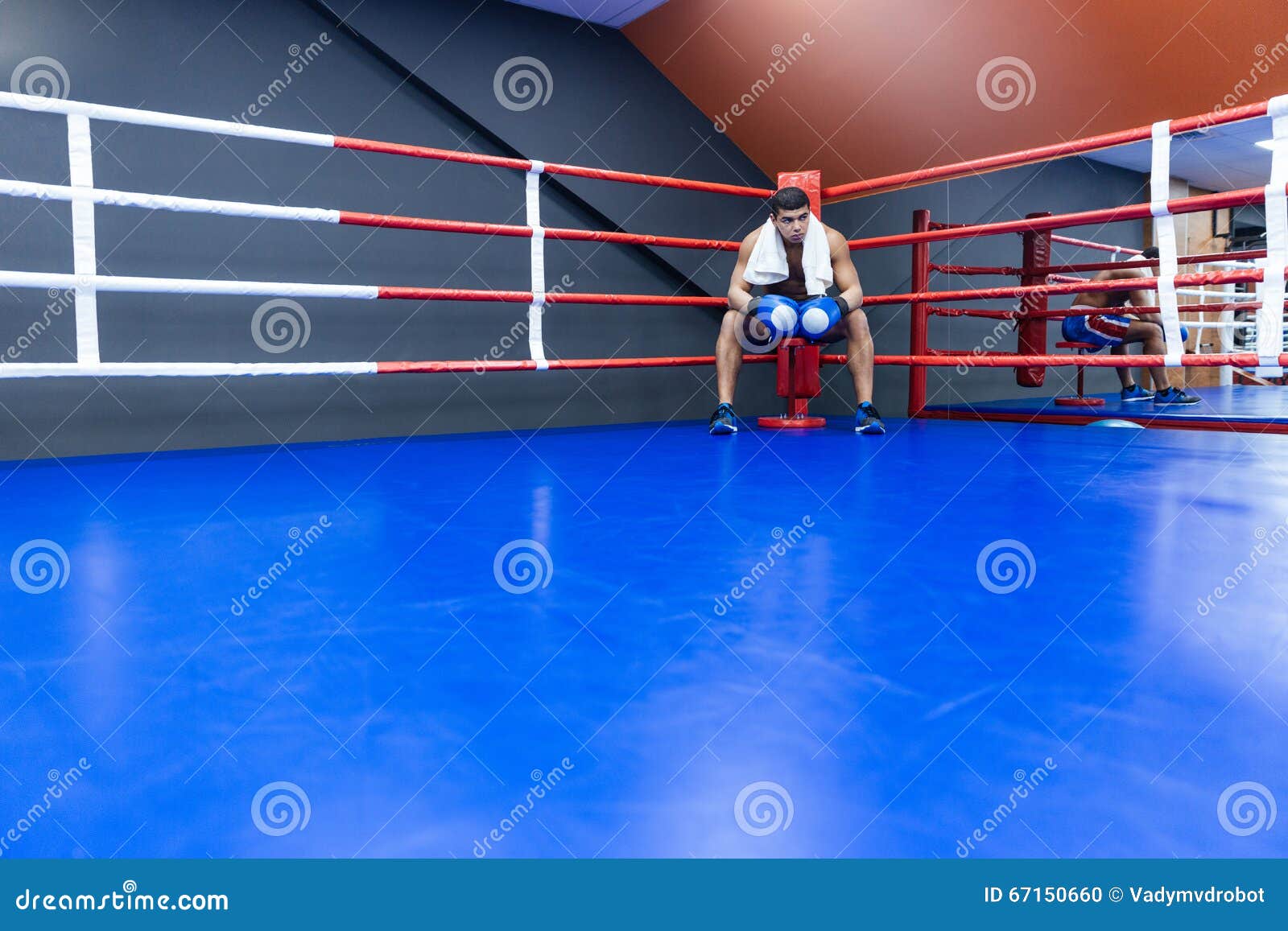 Boxer Resting in Boxing Ring Stock Photo - Image of fighter, towel ...