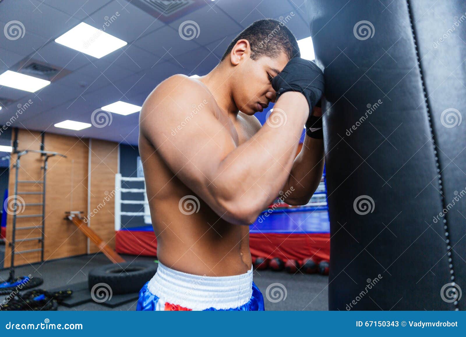 Boxer resting in gym stock image. Image of diversity - 67150343