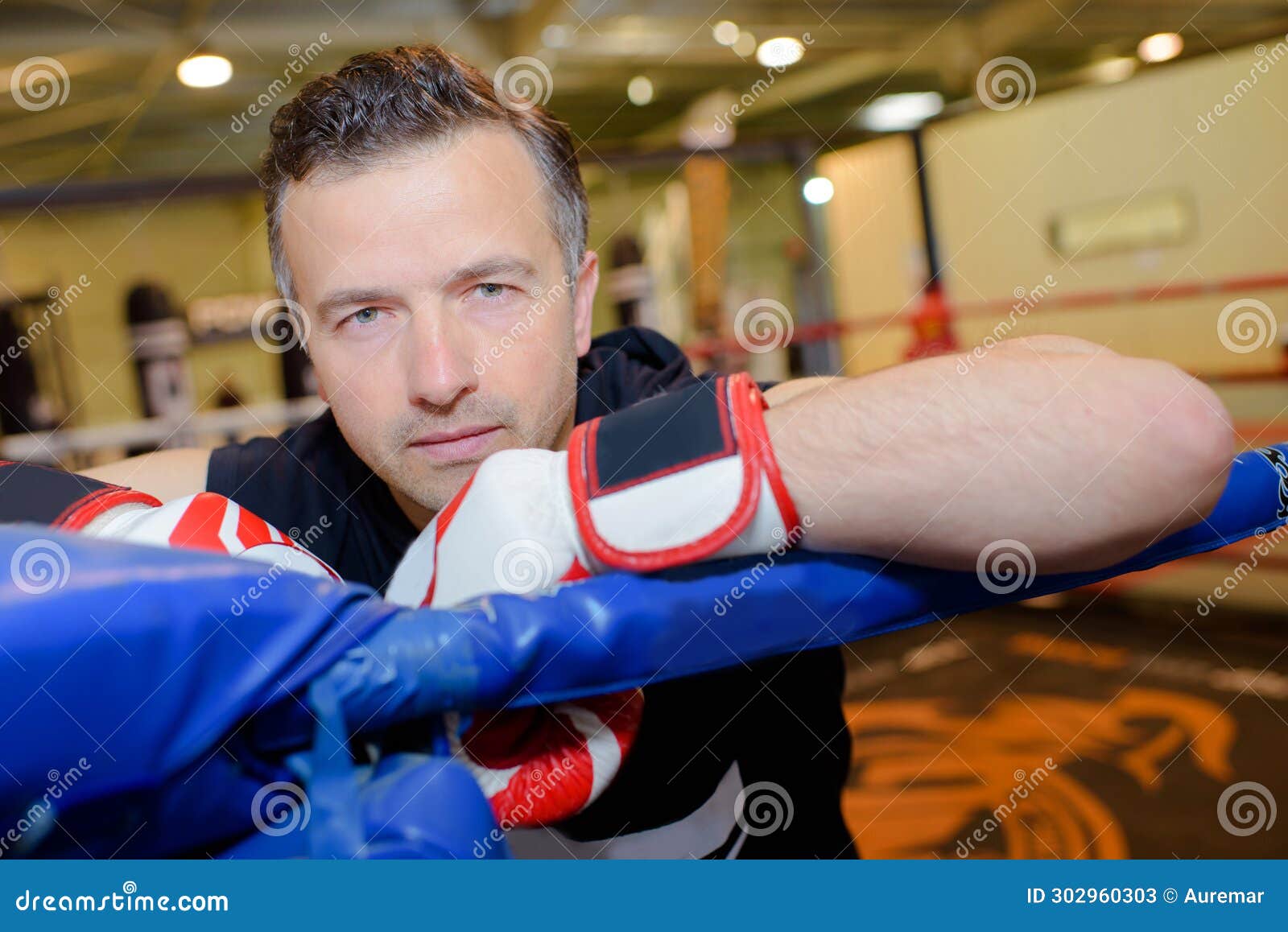 Boxer in the ring stock image. Image of confidence, sportsmanship ...