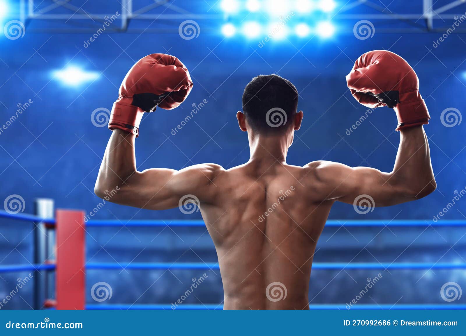 Boxer on the Ring, Sport Themes Stock Photo - Image of fist, athlete ...