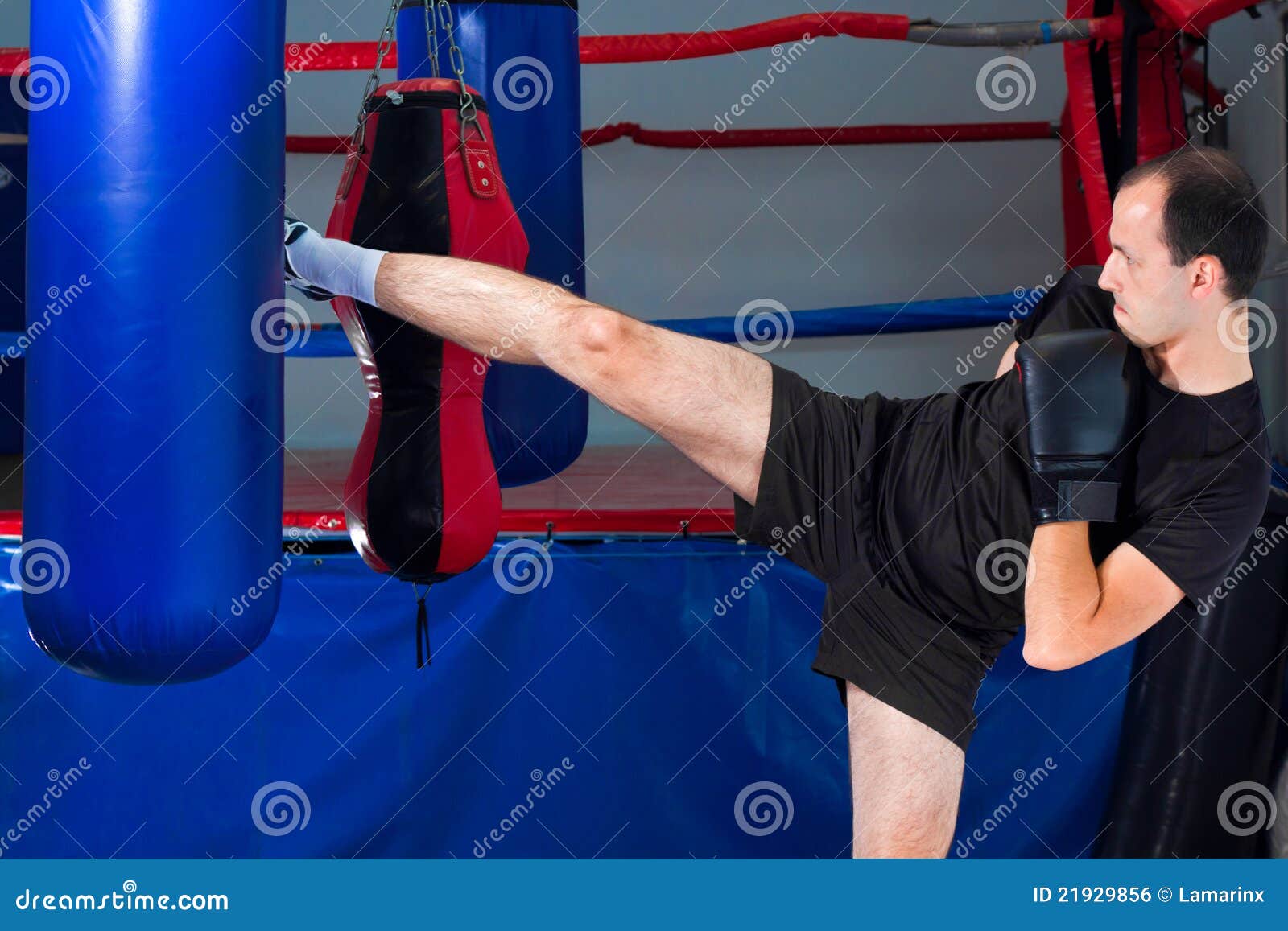 Boxer Roundhouse Kicking a Sand Bag Stock Photo - Image of fighter ...