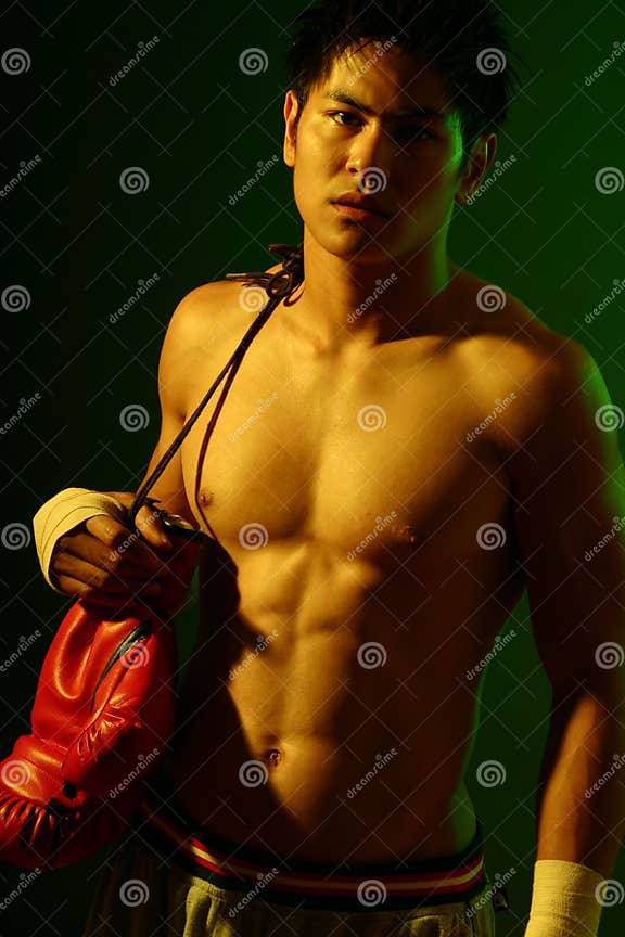 Boxer Series stock image. Image of muscle, gesture, fighter - 171385