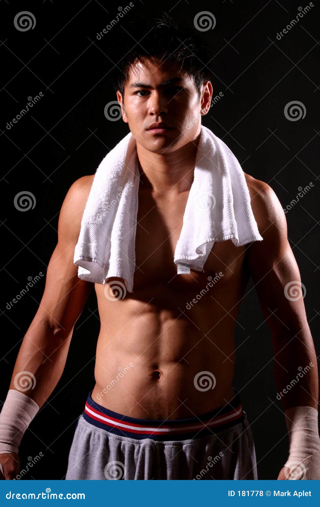 Boxer Series stock photo. Image of portrait, human, boxing - 181778