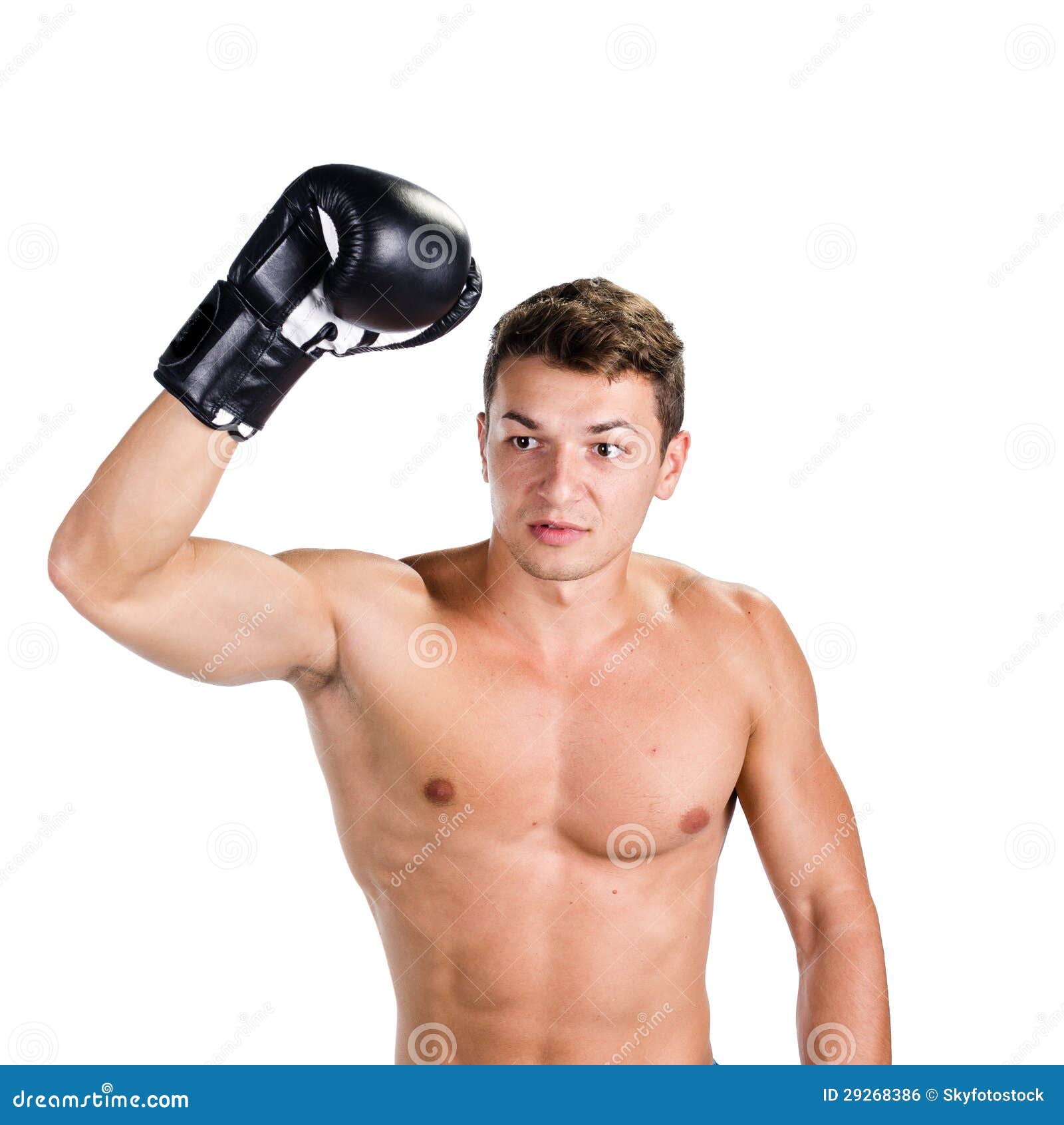 Boxer showing victory stock photo. Image of body, black - 29268386