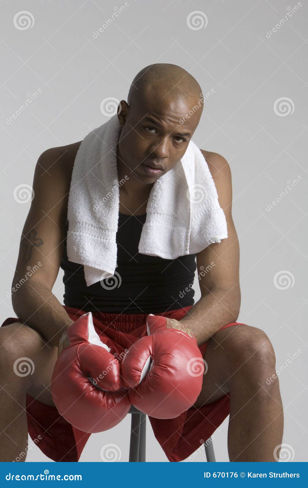 Boxer sitting stock photo. Image of isolated, health, boxing - 670176