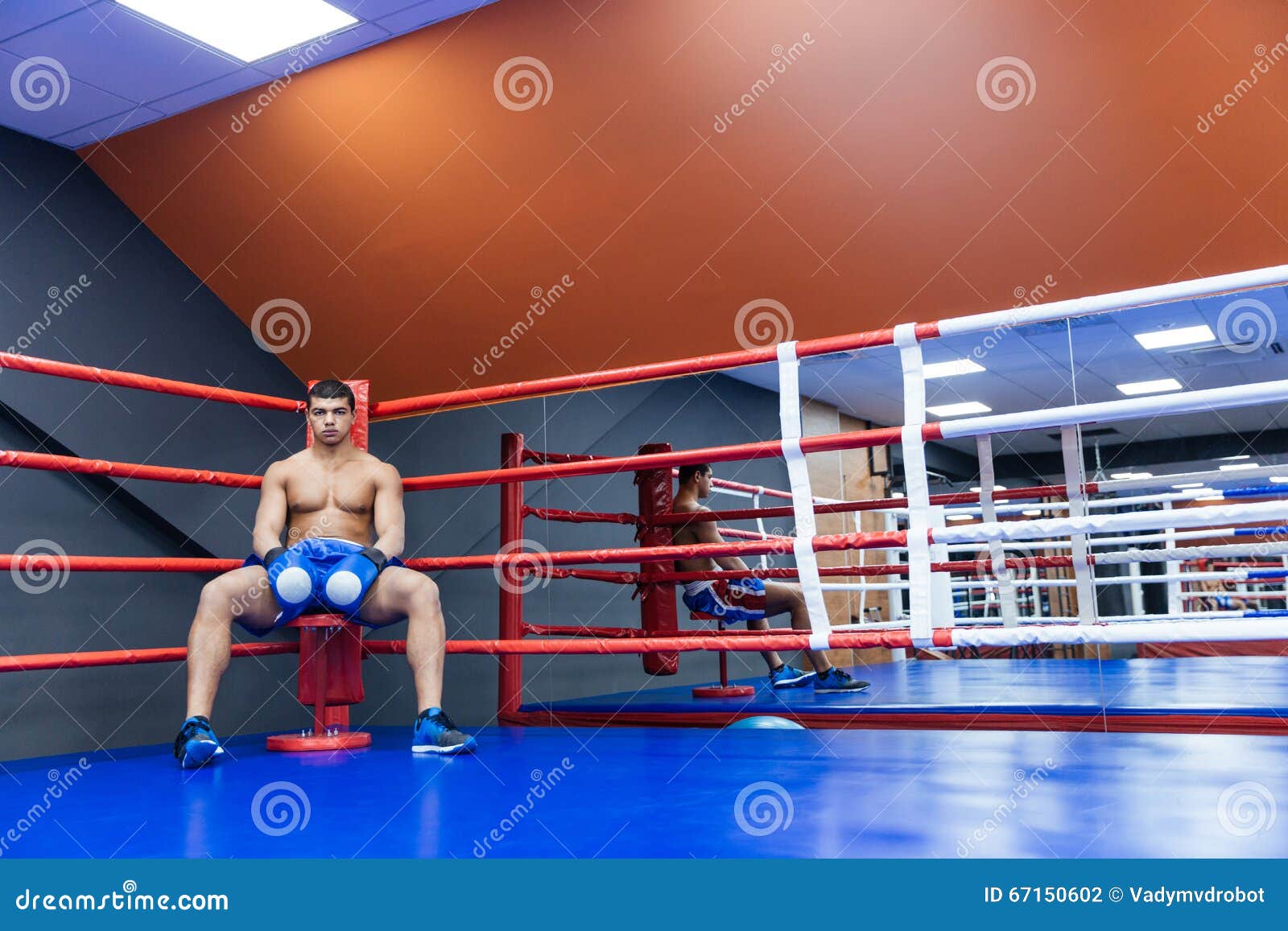 Boxer Sitting in Boxing Ring Stock Photo - Image of power, competition ...