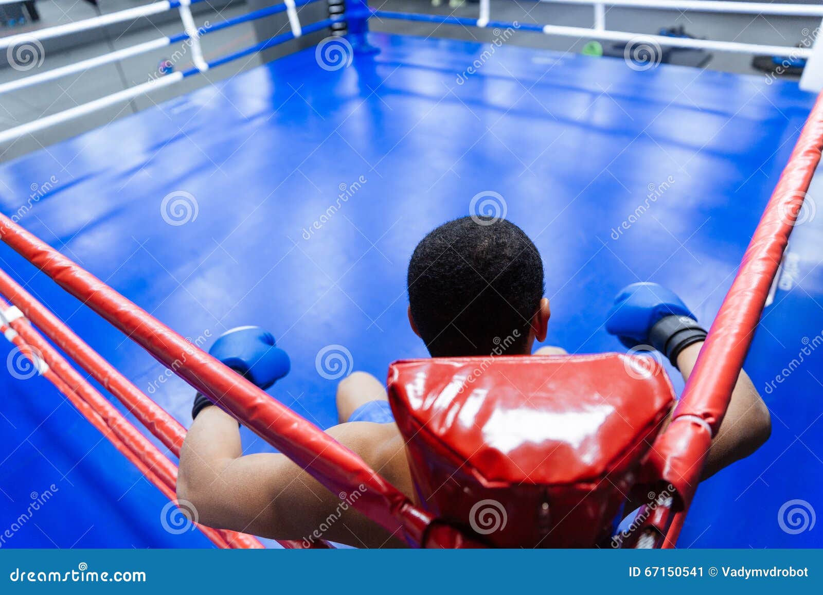 Boxer Sitting in the Corner of Boxing Ring Stock Image - Image of ...