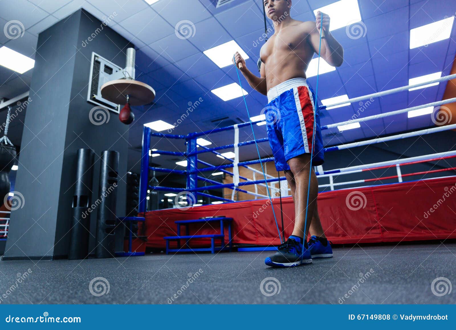 Boxer with skipping rope stock photo. Image of masculinity - 67149808