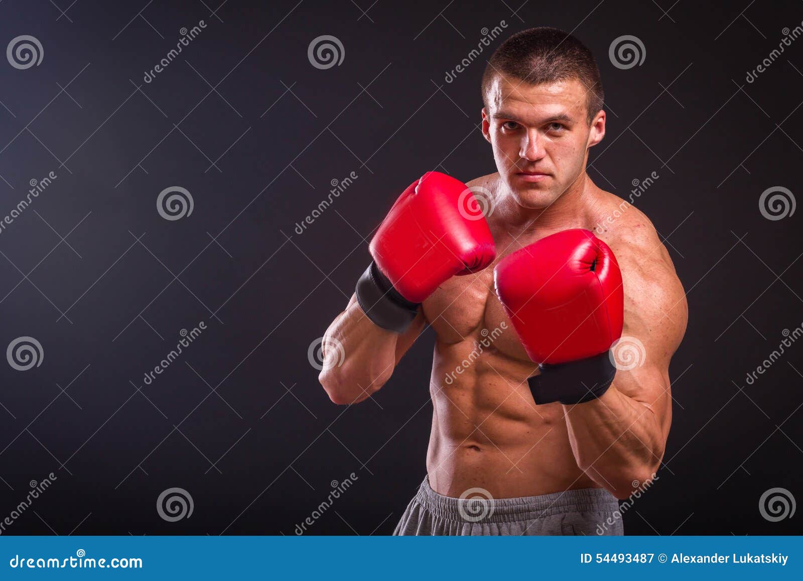 Boxer stock image. Image of healthy, muscle, caucasian - 54493487