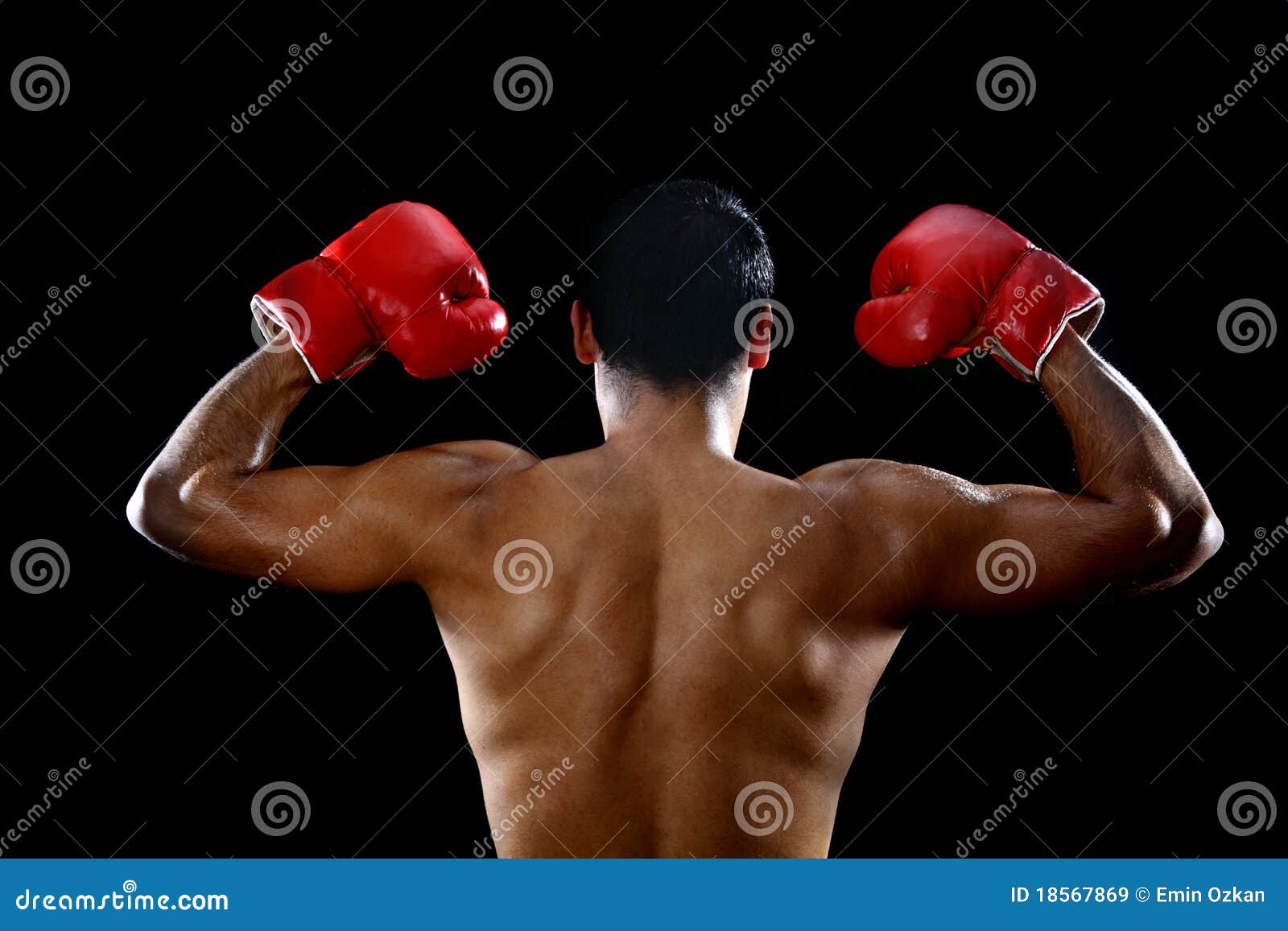Boxer torso stock image. Image of black, training, muscularly - 18567869