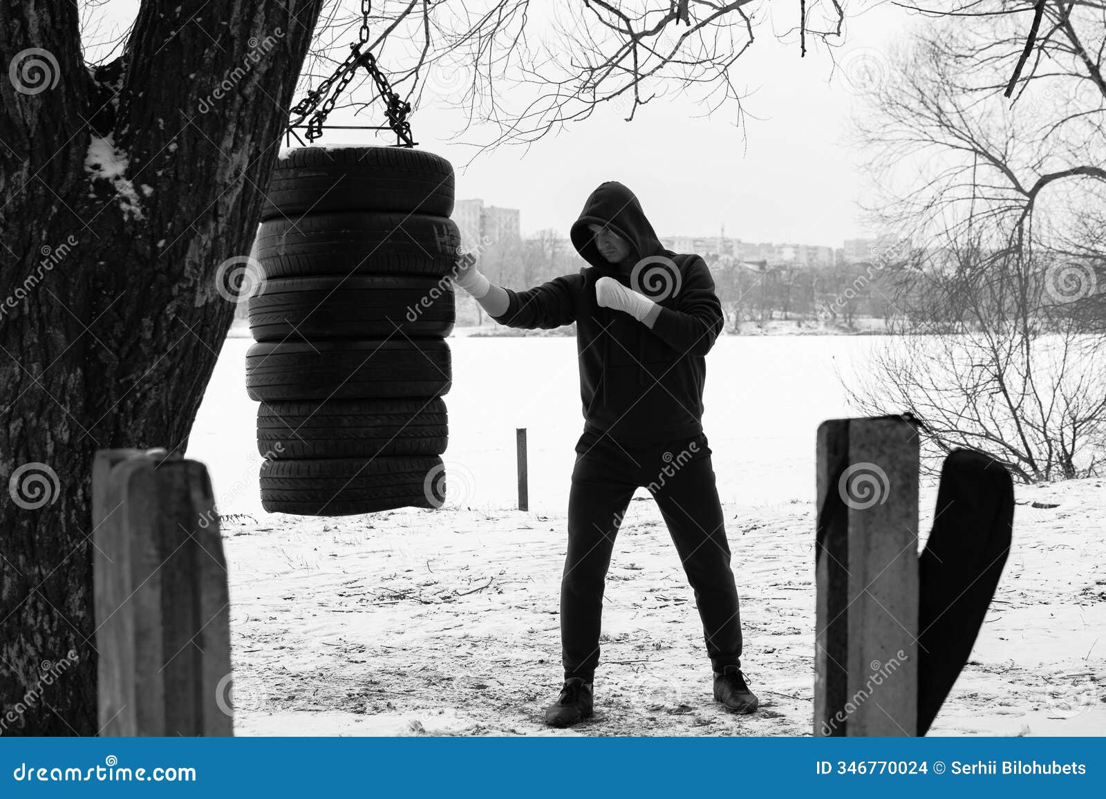 Boxer in Training. Boxing and Martial Arts Classes Stock Photo - Image ...