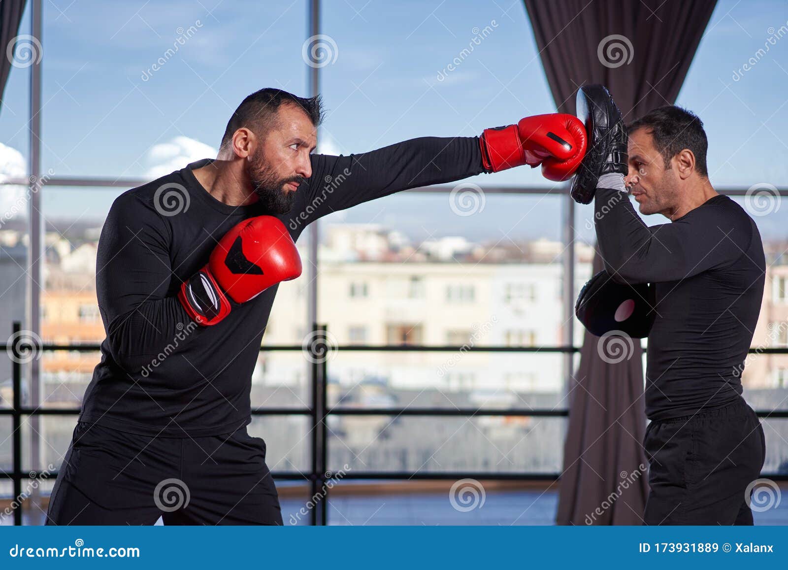 Boxer training with coach stock image. Image of couple - 173931889