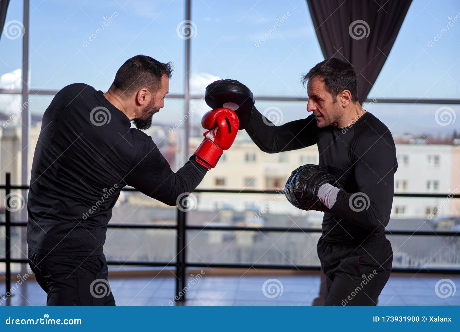 Boxer training with coach stock photo. Image of boxing - 173931900