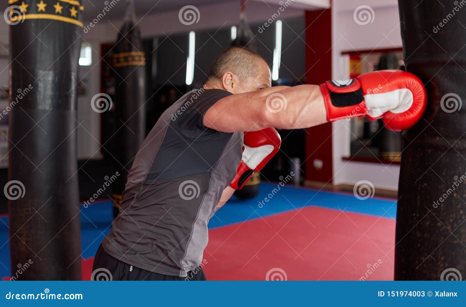 Boxer with heavy bag stock image. Image of punch, gloves - 151974003