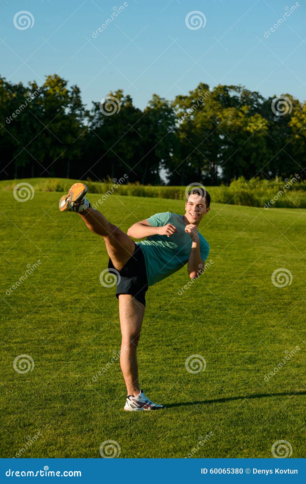 Boxer training outdoors. stock photo. Image of meadow - 60065380