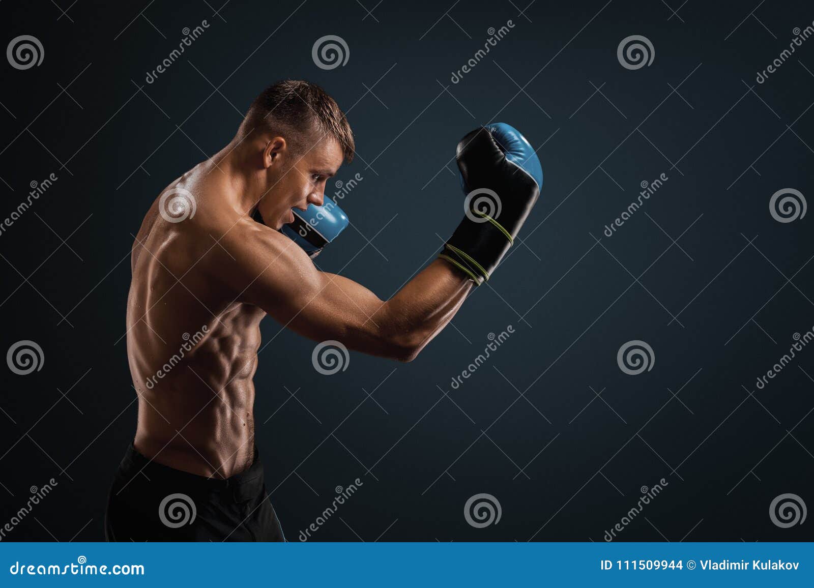 Boxer training on studio stock photo. Image of gloves - 111509944