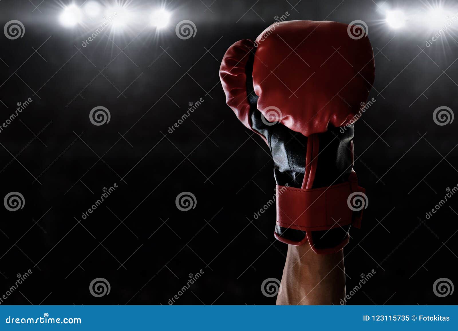 Boxer Win the Championship Match Stock Image - Image of combat ...
