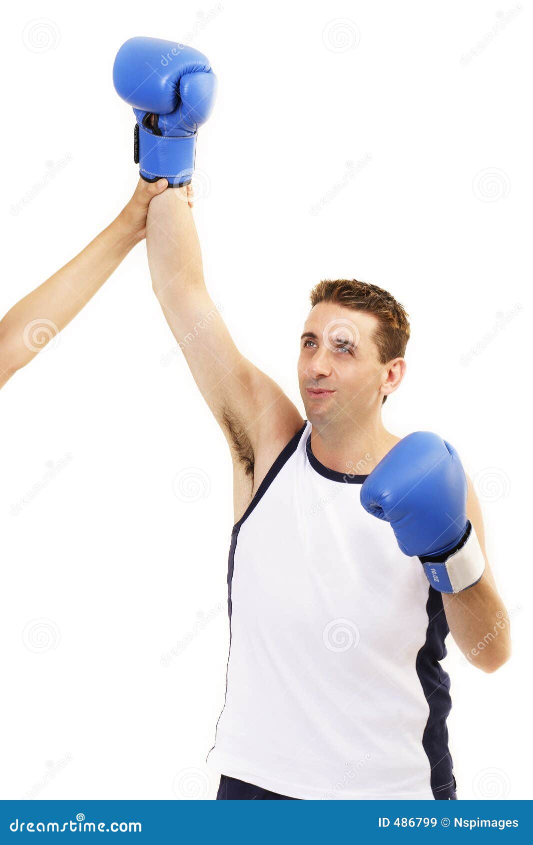 Boxer winner stock image. Image of blue, championship, personal - 486799