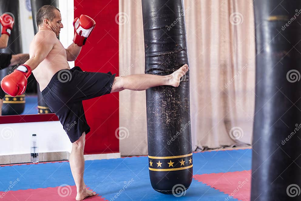 Boxer working stock photo. Image of blow, endurance - 152993722
