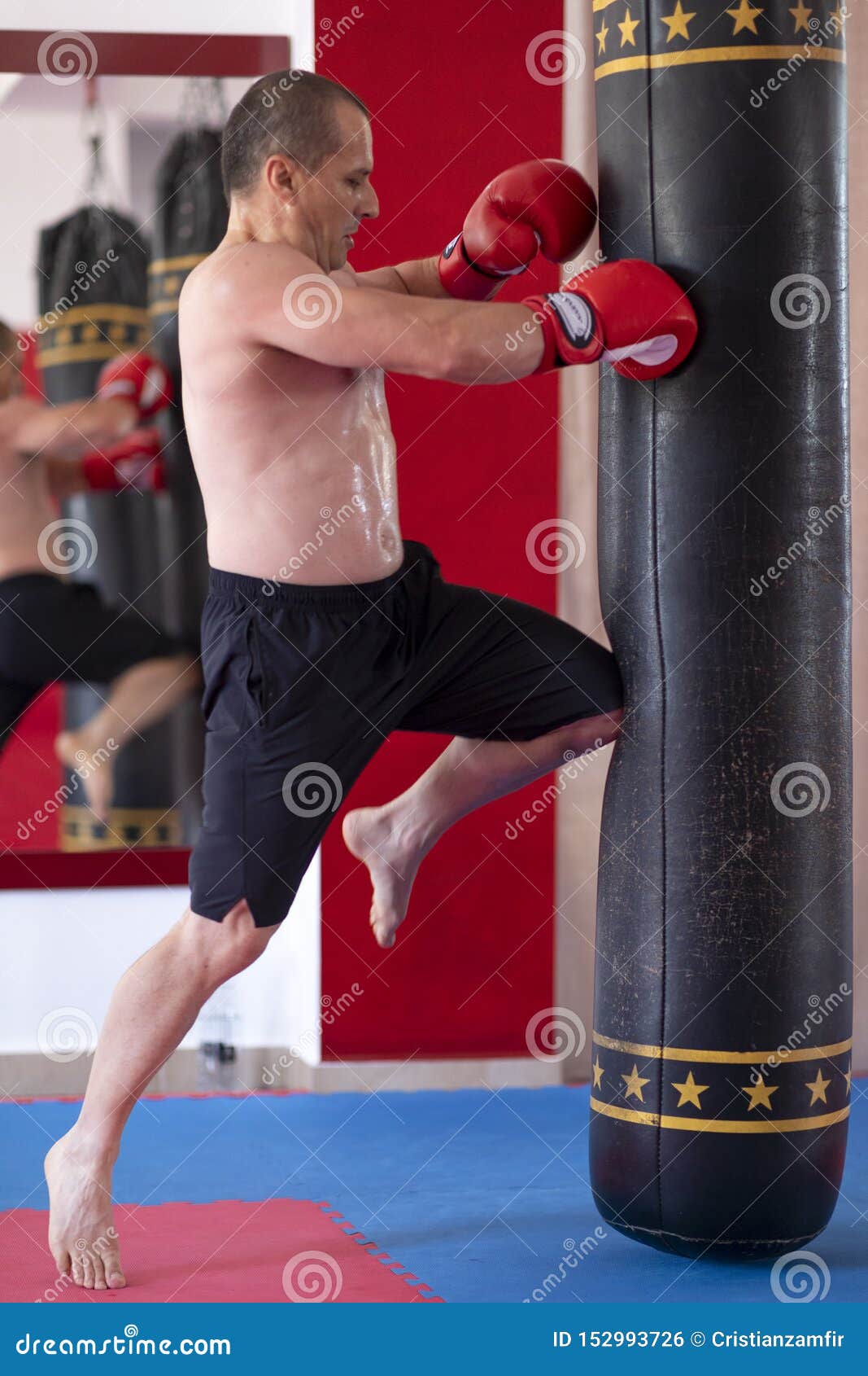 Boxer working stock photo. Image of hitting, fitness - 152993726