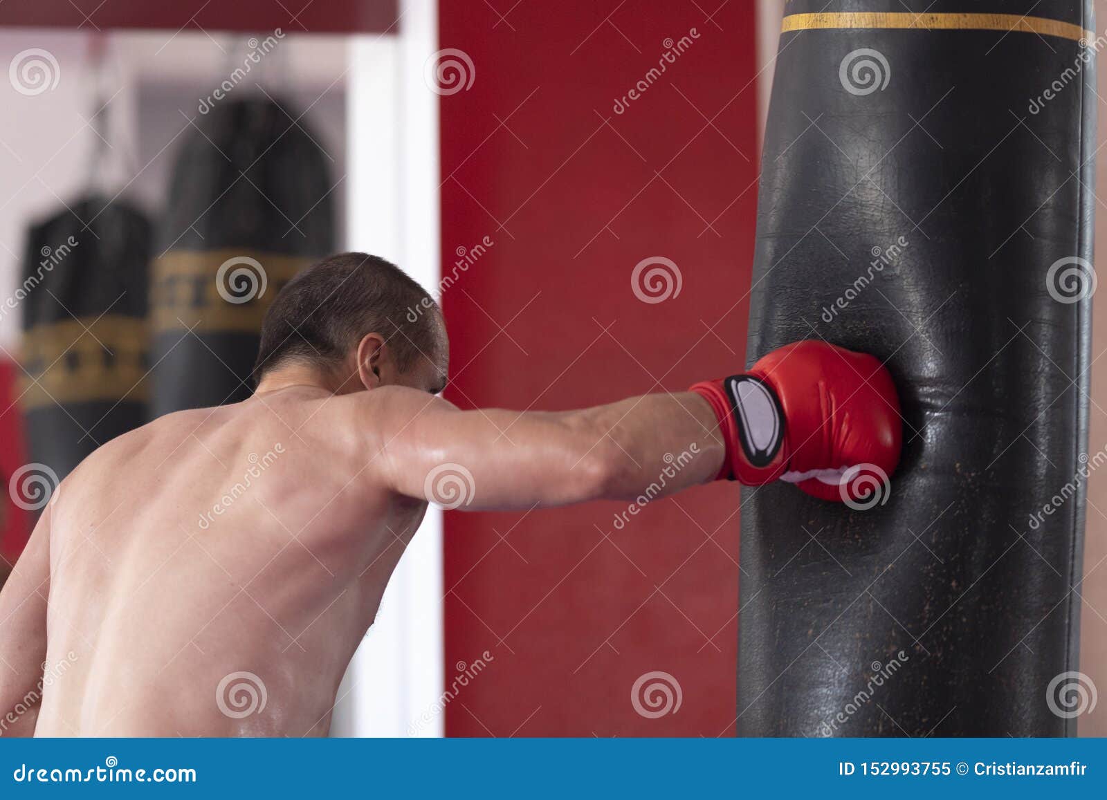Boxer working stock image. Image of endurance, fighter - 152993755