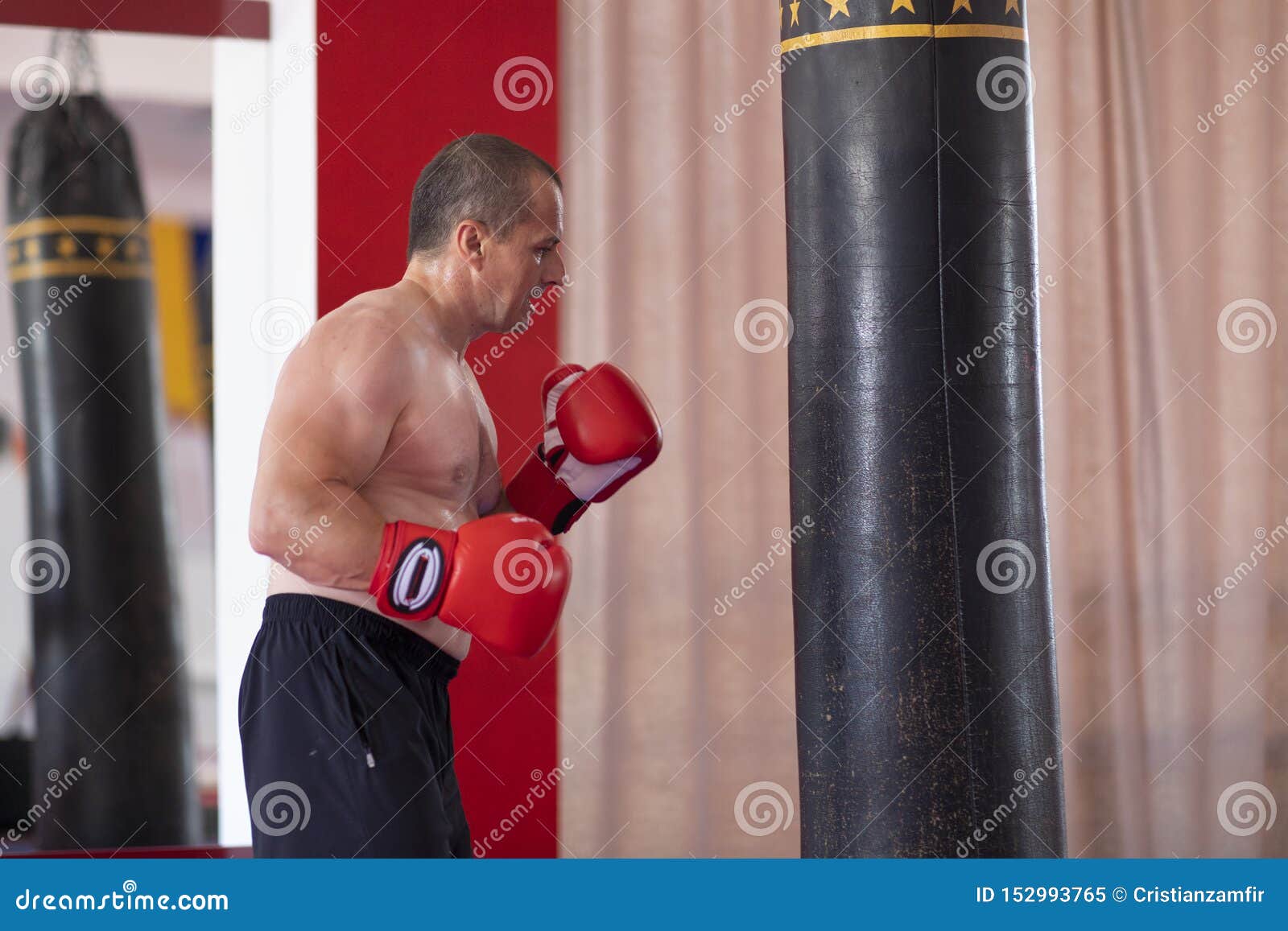 Boxer working stock image. Image of adult, active, hitting - 152993765