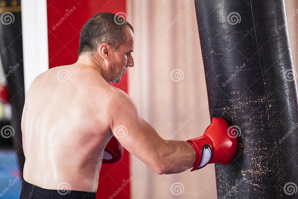 Boxer working stock photo. Image of heavy, indoors, care - 152993774