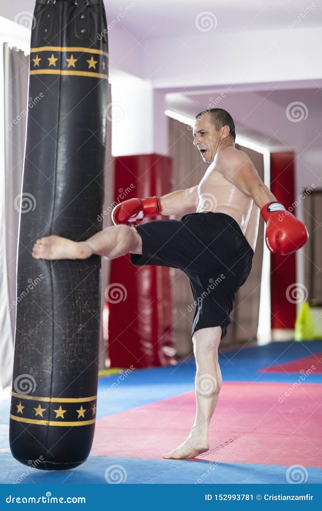 Boxer working stock image. Image of blow, mixedrace - 152993781