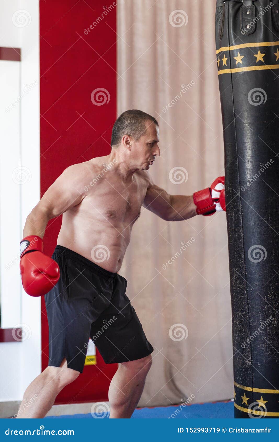 Boxer working stock image. Image of male, healthy, endurance - 152993719