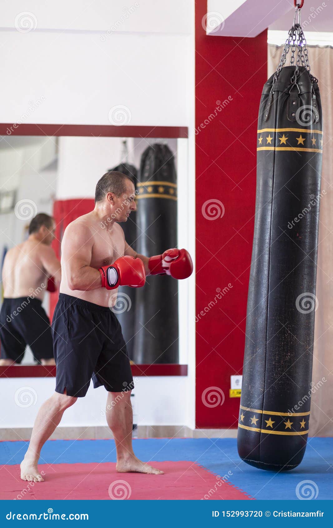 Boxer working stock photo. Image of male, focused, practice - 152993720