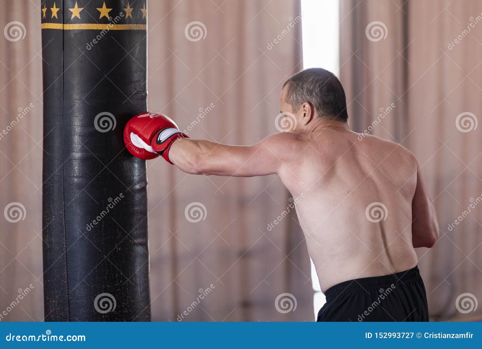 Boxer working stock image. Image of muscle, blow, adult - 152993727