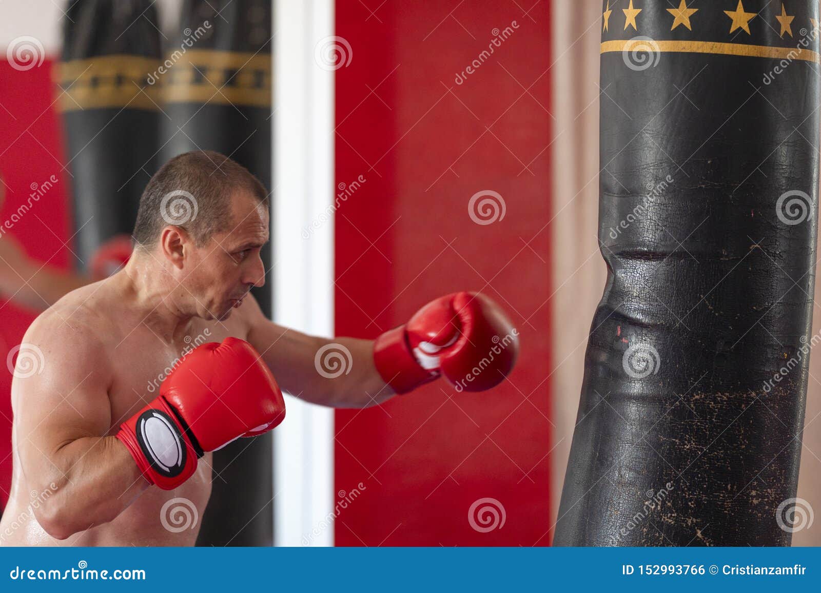 Boxer working stock photo. Image of body, heavy, beating - 152993766