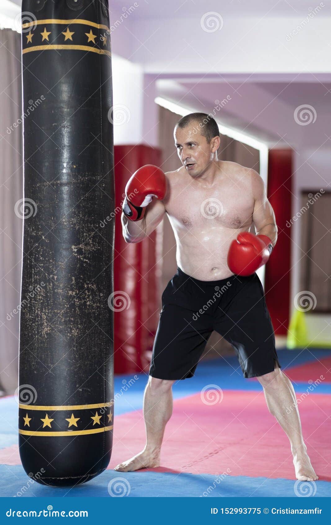 Boxer working stock image. Image of endurance, boxing - 152993775