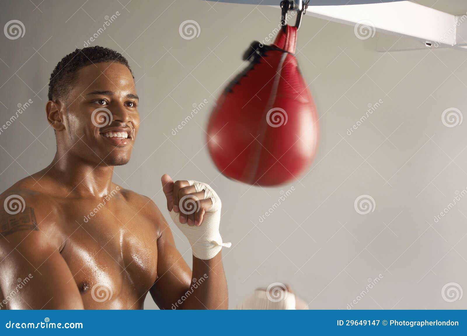 Boxer Working Out at Gym stock image. Image of champion - 29649147