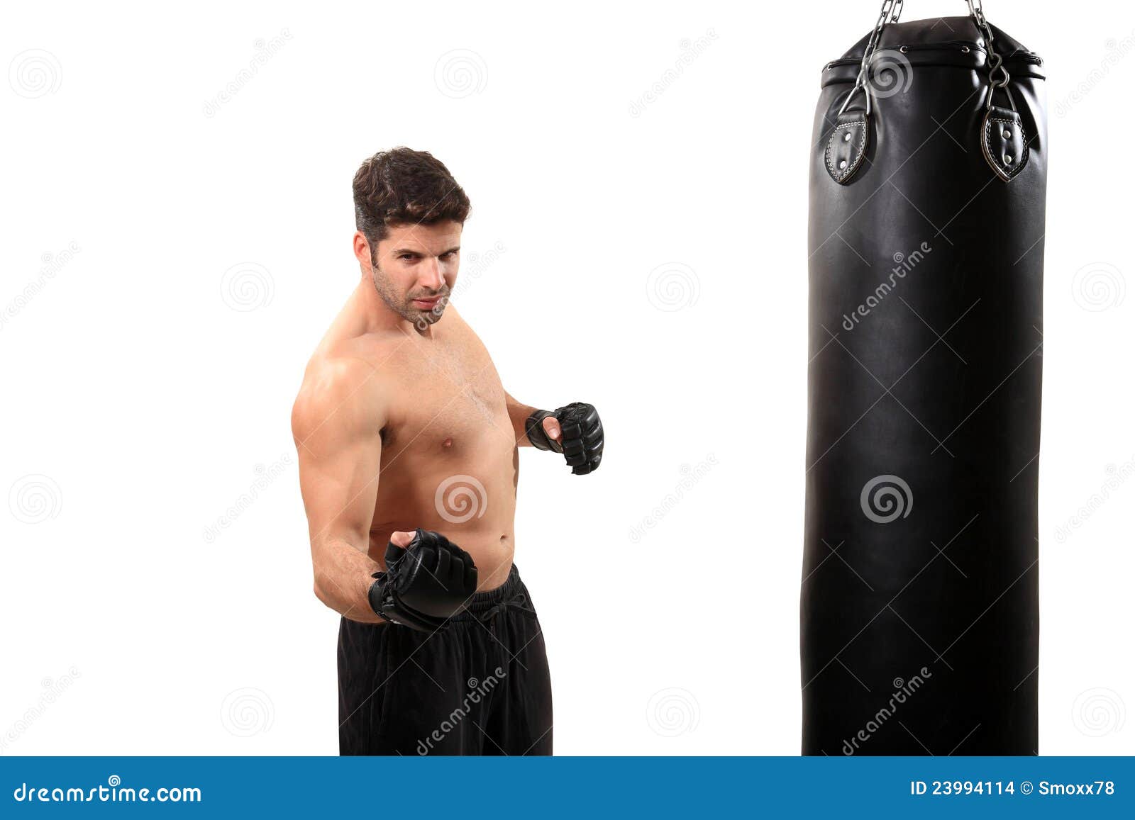 Boxer workout stock photo. Image of health, healthy, arms - 23994114