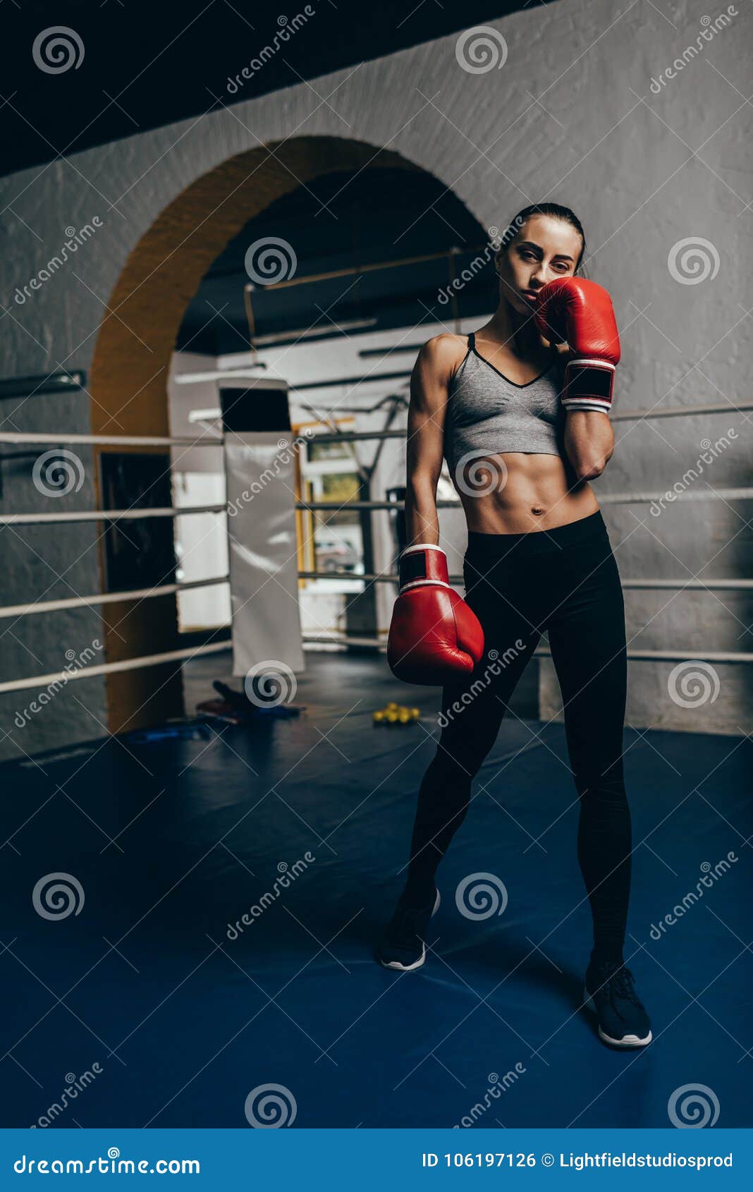 Boxer stock photo. Image of female, training, sporting - 106197126