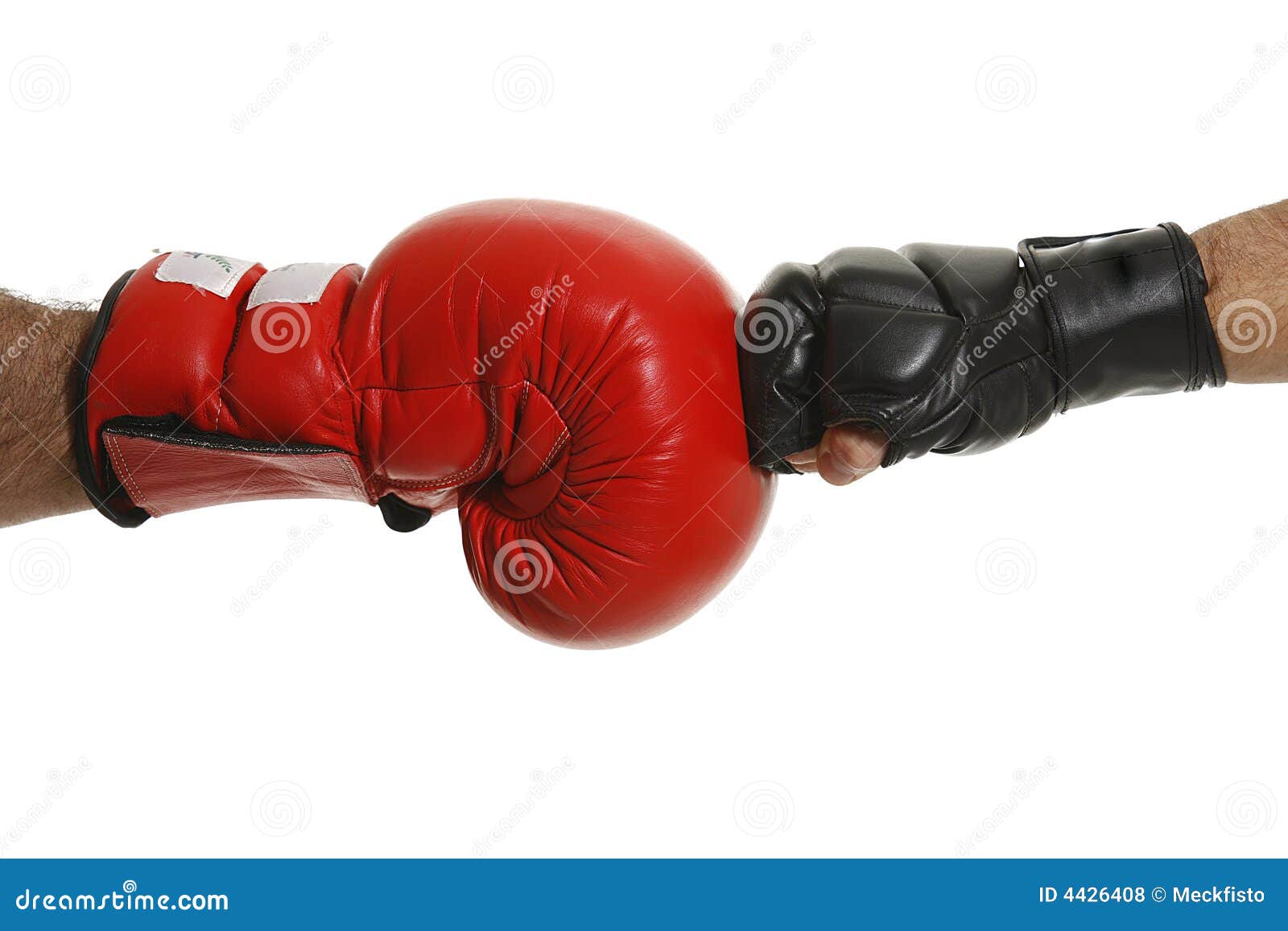 Boxers stock photo. Image of boxers, deal, office, group - 4426408