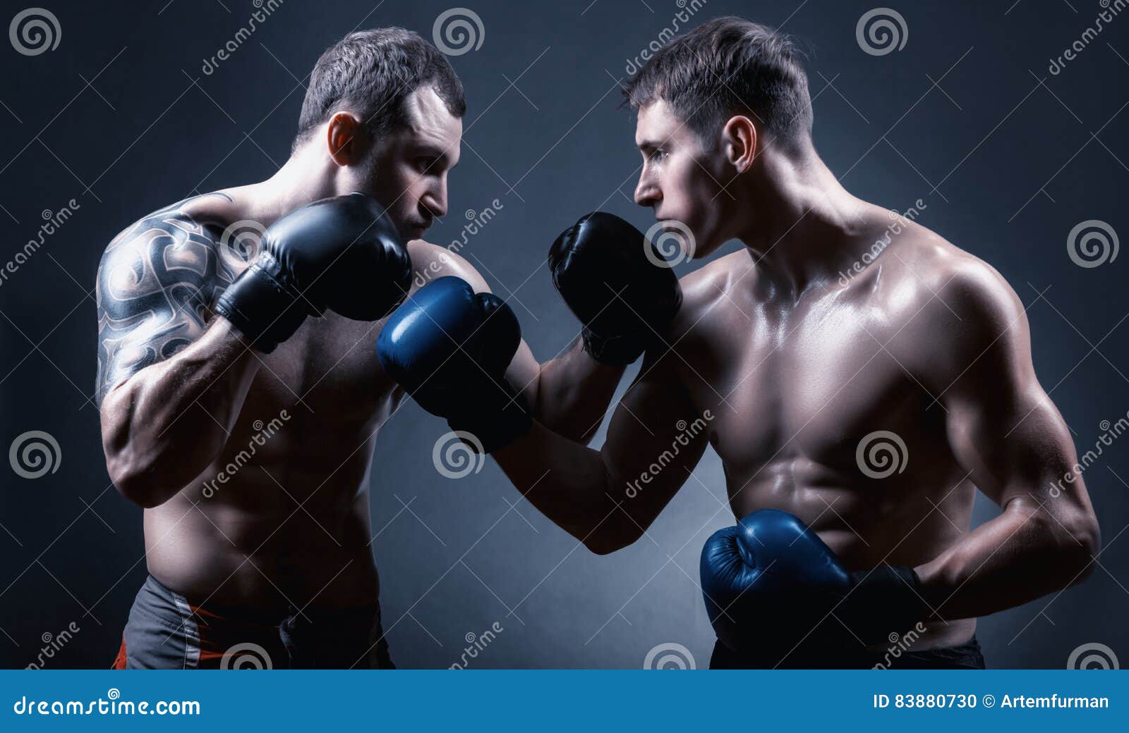 Boxers stock foto. Image of agressief, uitdrukking, mannetje - 83880730