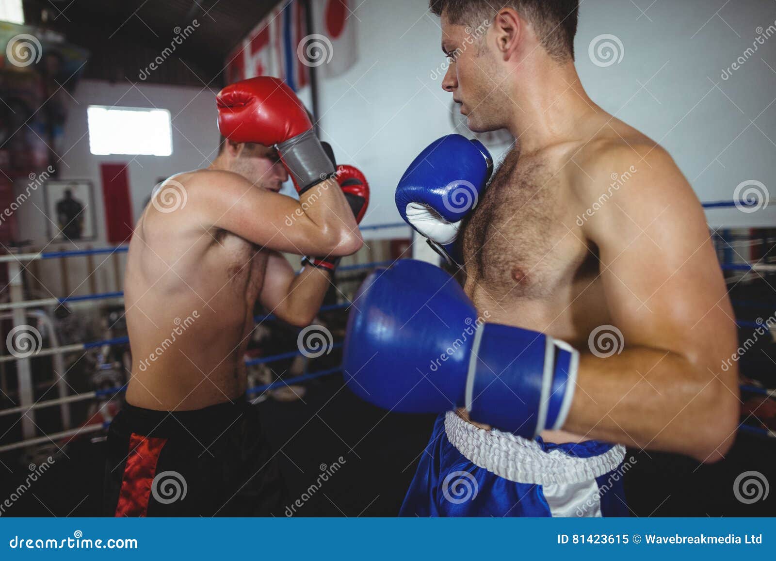 Boxers Fighting in Boxing Ring Stock Image - Image of competition ...