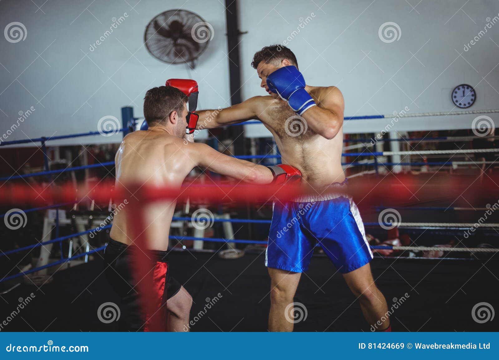 Boxers Fighting in Boxing Ring Stock Image - Image of fighting, gloves ...