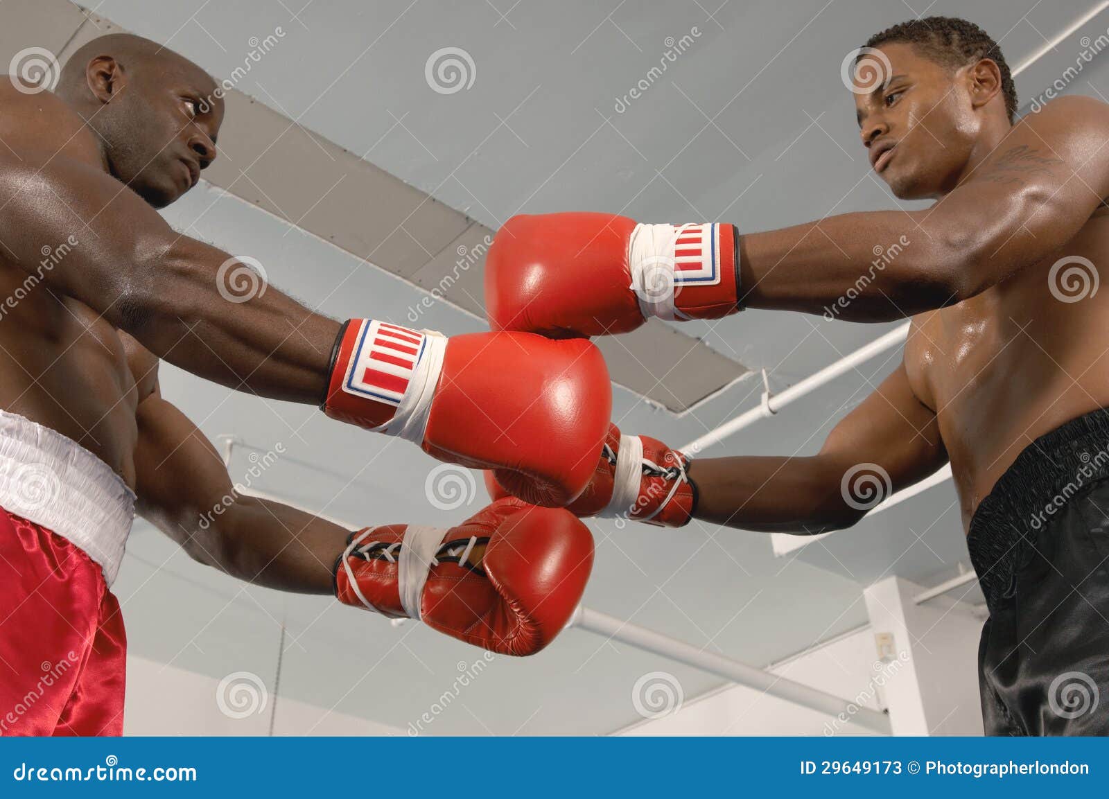Boxers before the Start of a Match Stock Image - Image of hobby ...