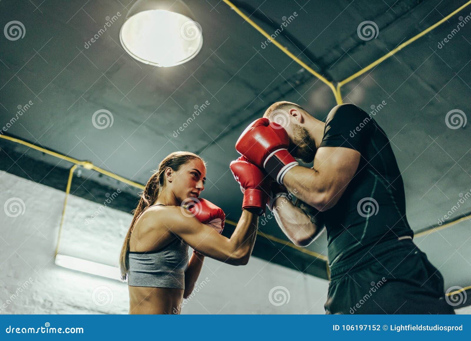 Boxers Training on Boxing Ring Stock Photo - Image of adult ...
