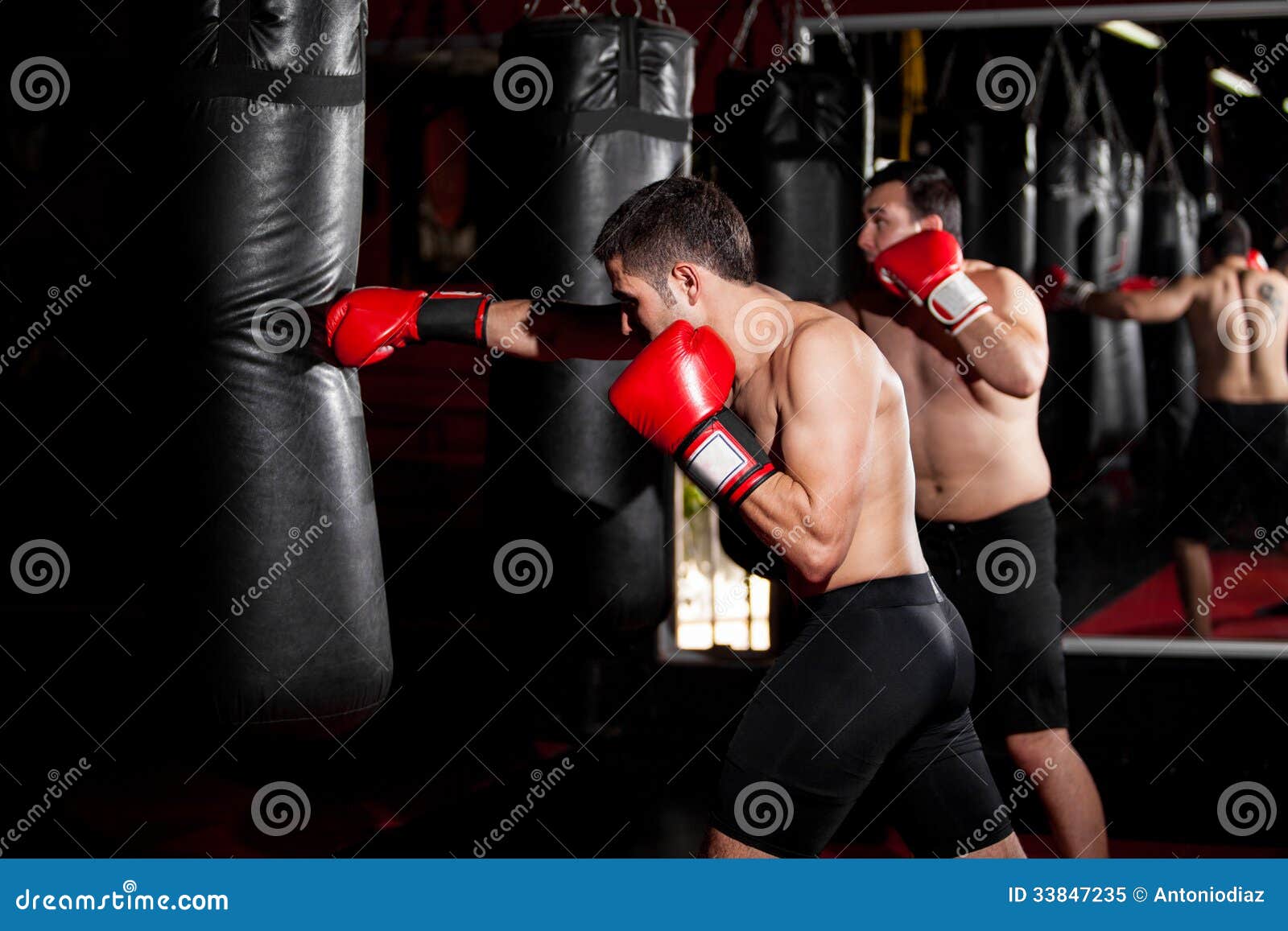 Boxers Training with a Punching Bag Stock Image - Image of boxing ...
