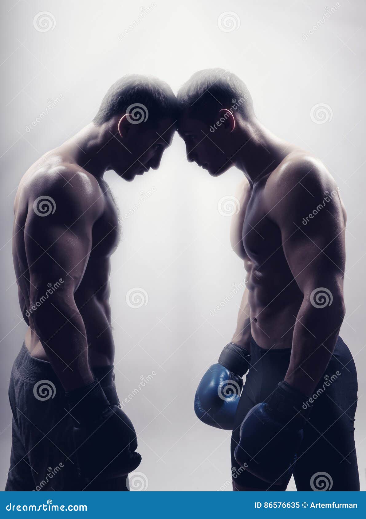 Boxers stock image. Image of athlete, athletic, healthy - 86576635